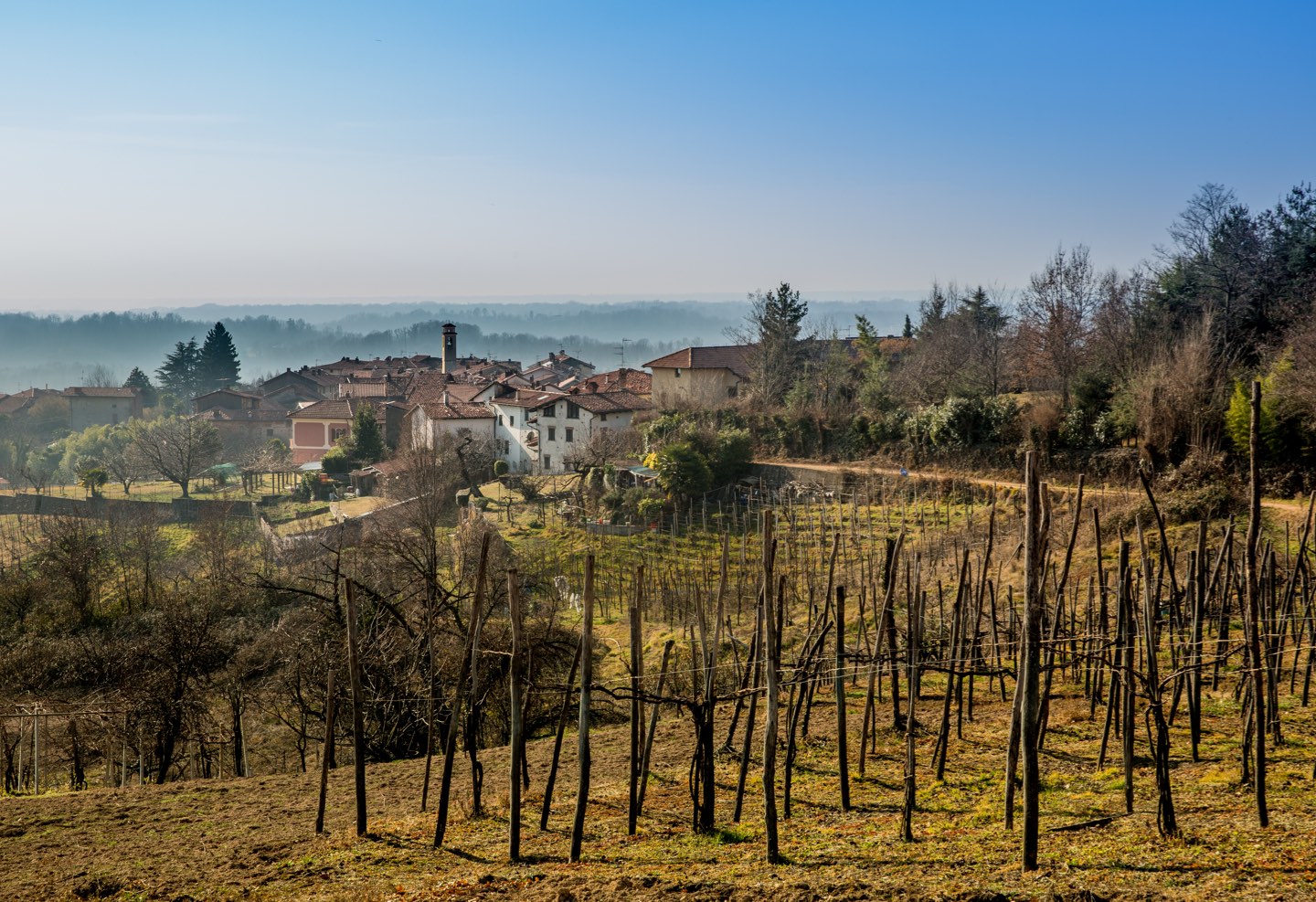 Alto Piemonte: The Next Great Address for Nebbiolo